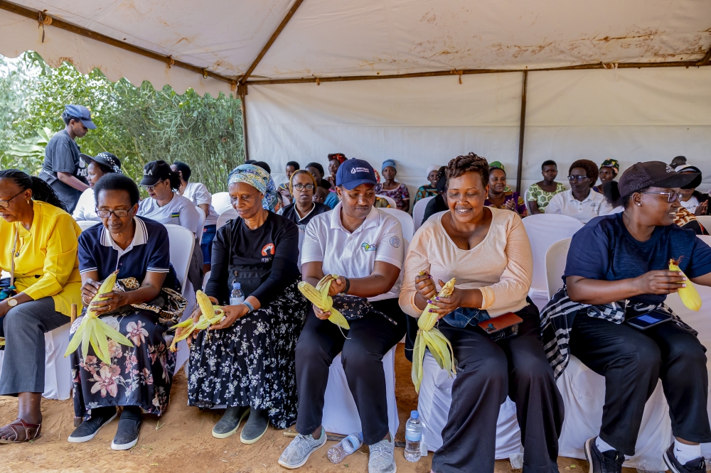 Women liberators to combat desertification in Eastern Province ...