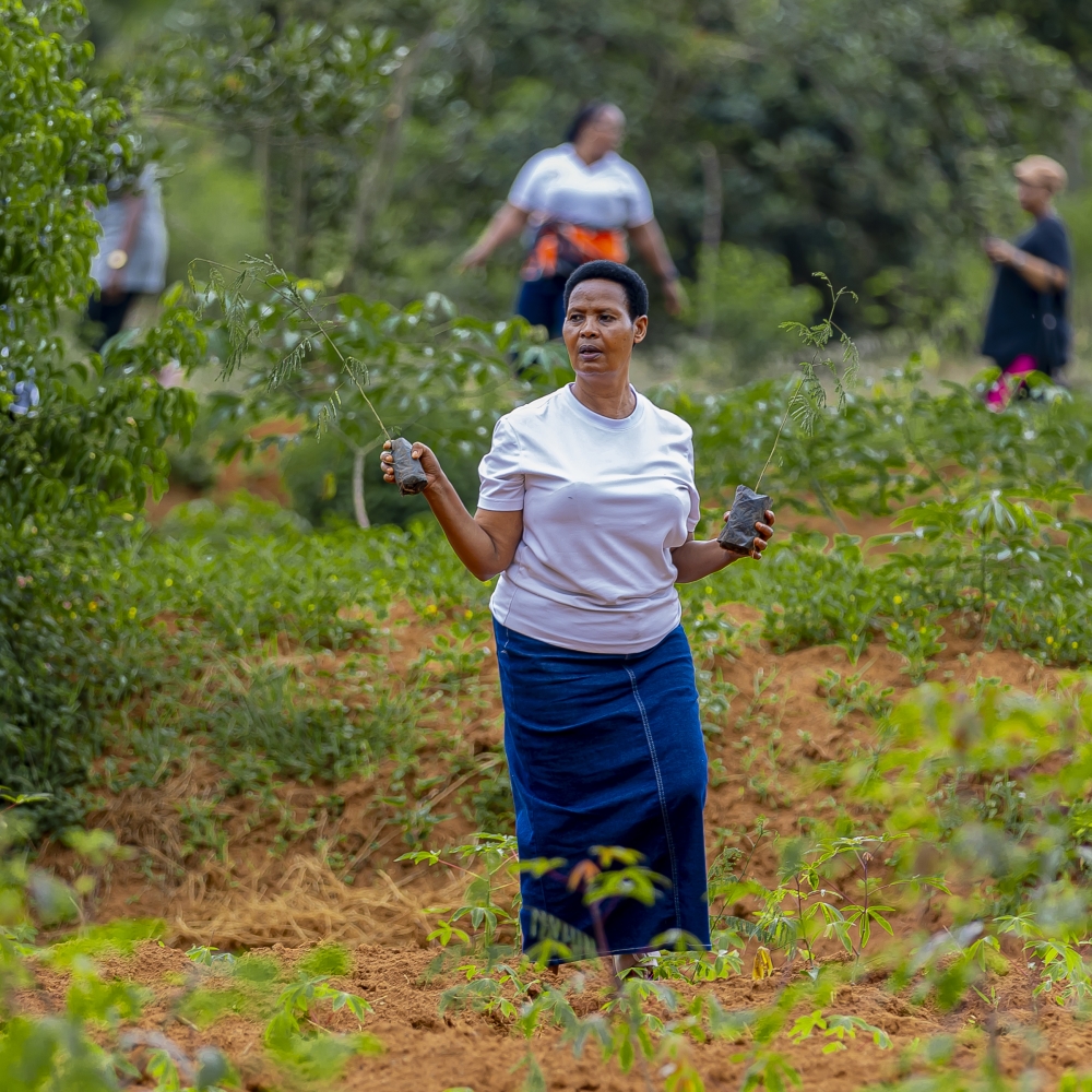 Women liberators to combat desertification in Eastern Province ...