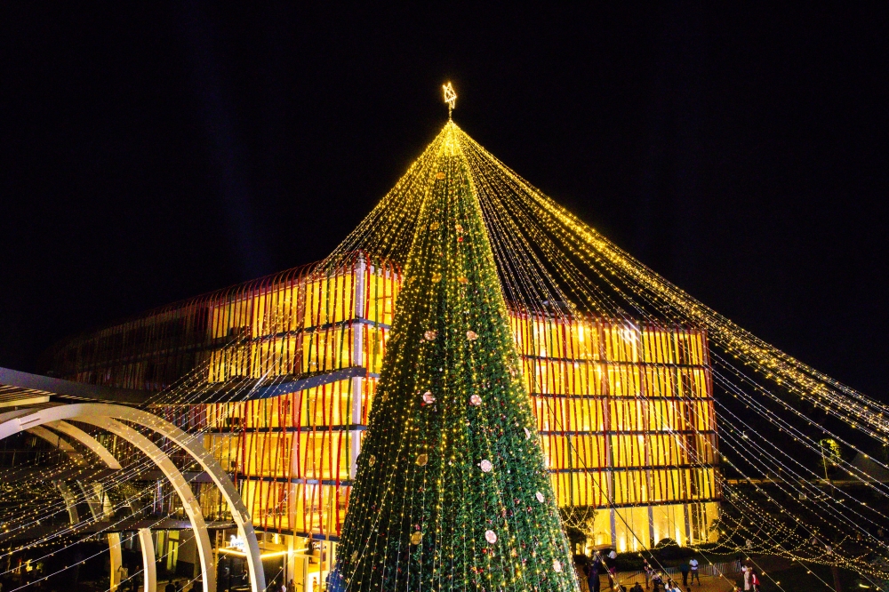 Radisson Blu Christmas tree lighting draws over 3,000 children - The ...