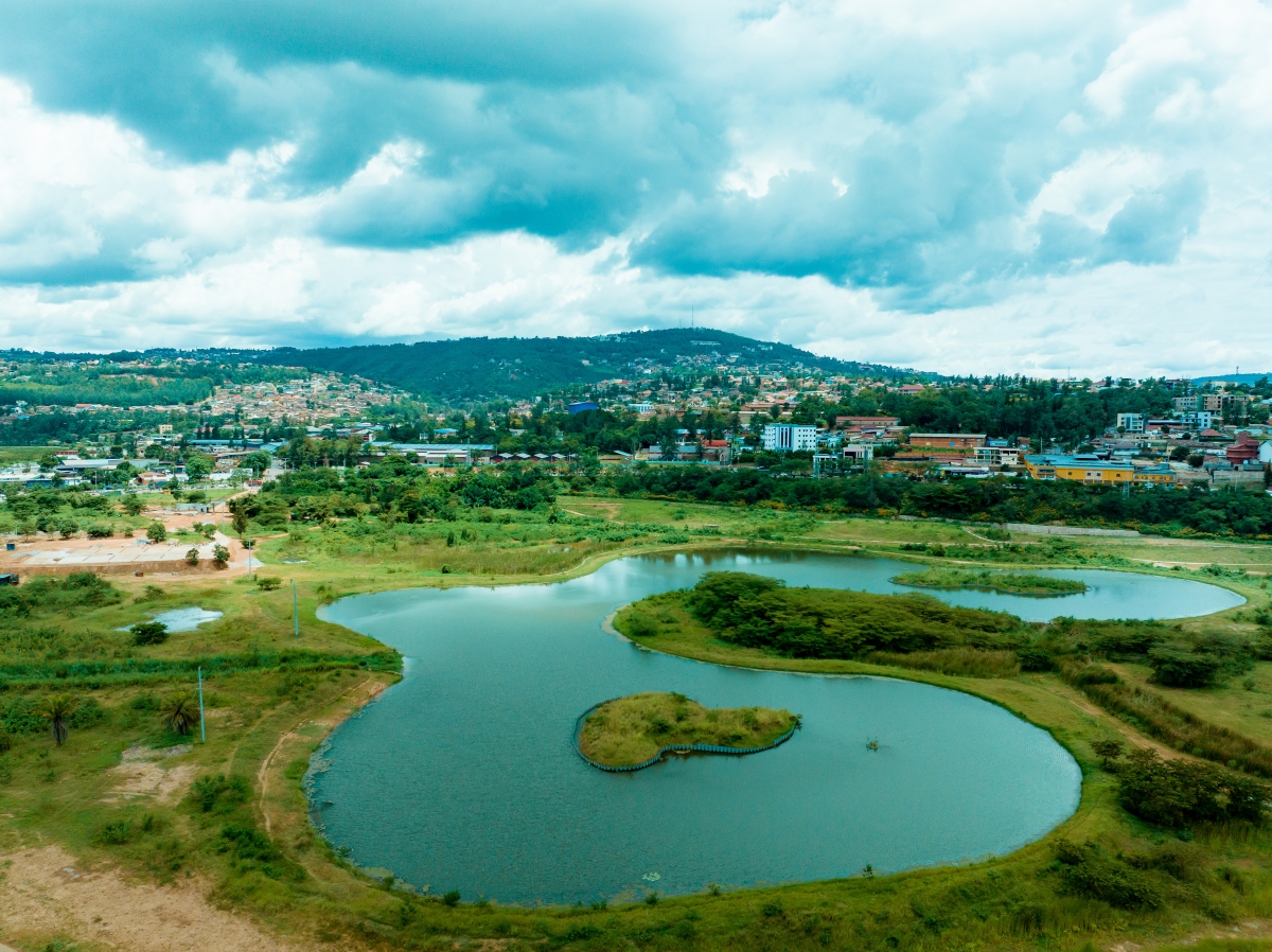 Govt seeks manager, financing partner for Kigali Wetlands Park - The ...